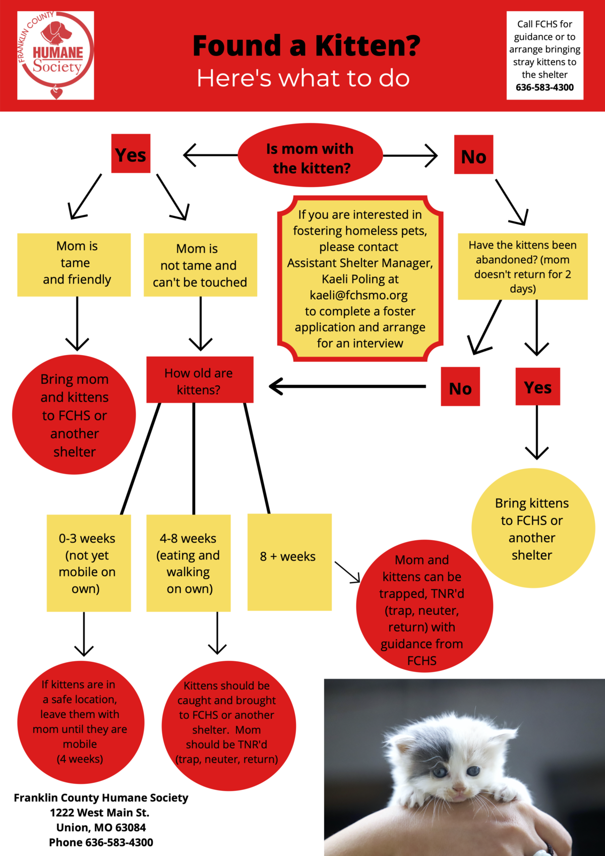 Lost and Found Pets – Franklin County Humane Society